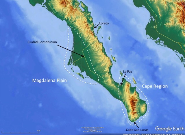 Cape Region – THE NATURALIST'S TRAVEL PAGE